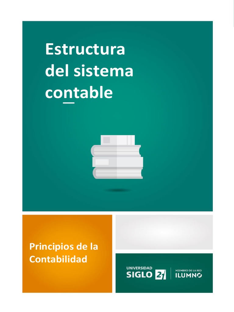 Estructura Del Sistema Contable | PDF | Contabilidad | Servicios ...