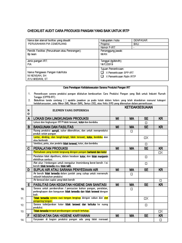 Form 5. Mock Audit RISCHA PIA | PDF