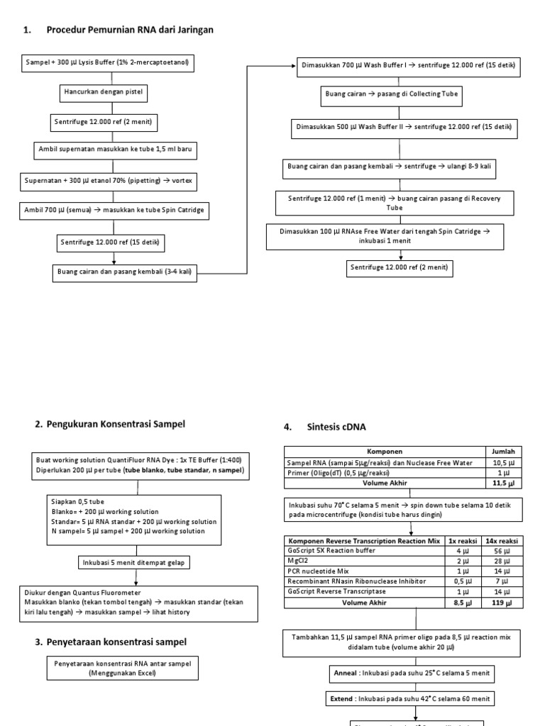 Flowchart PCR | PDF