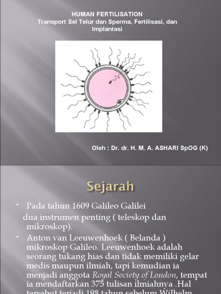 Human Fertilitation | PDF