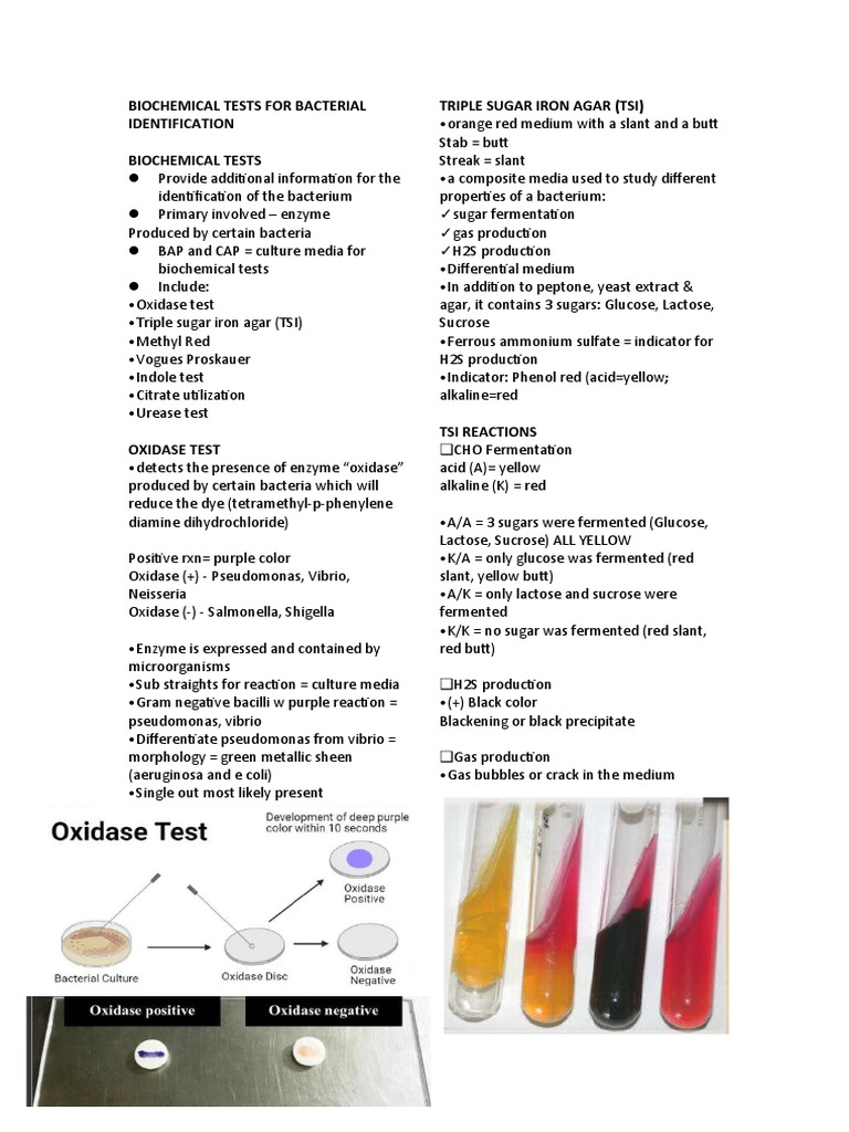 Biochemical Tests For Bacterial Identification Biochemical Tests Triple ...