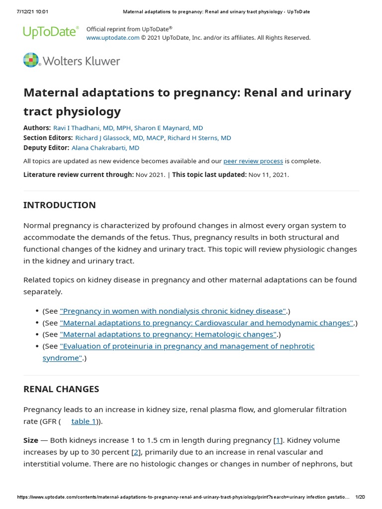 Maternal Adaptations To Pregnancy - Renal and Urinary Tract Physiology ...