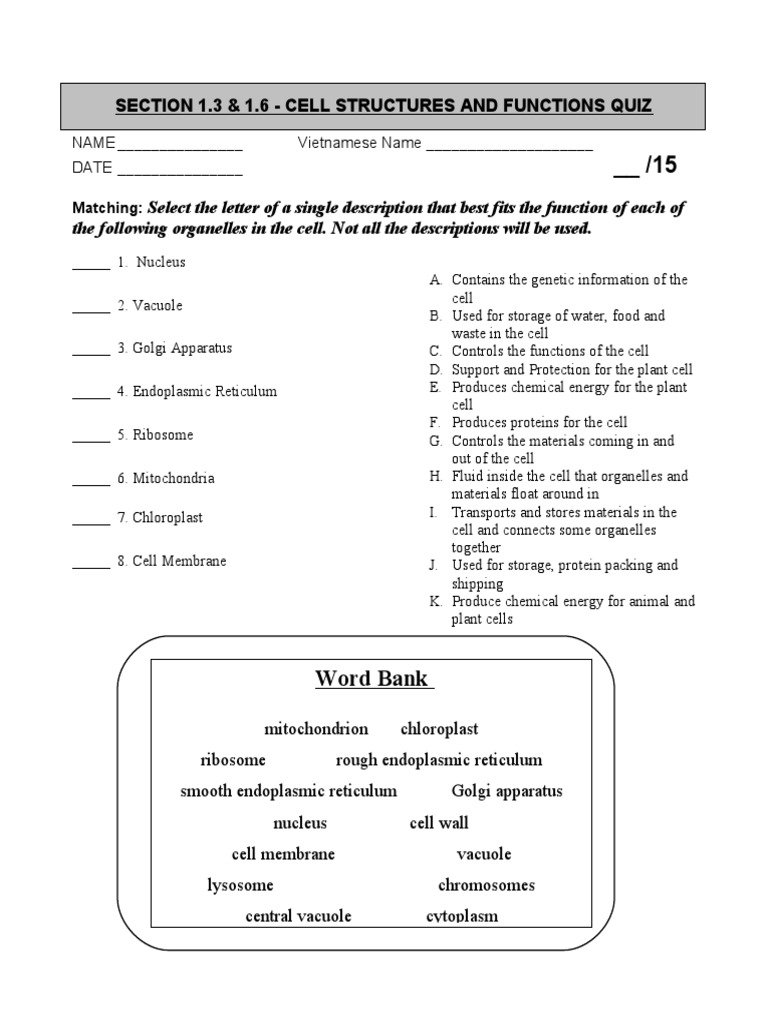 Section 1.3 & 1.6 - Cell Structures and Functions Quiz | PDF | Cell ...