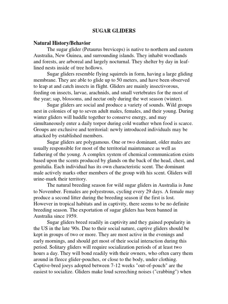 Sugar Gliders Natural History/Behavior | PDF