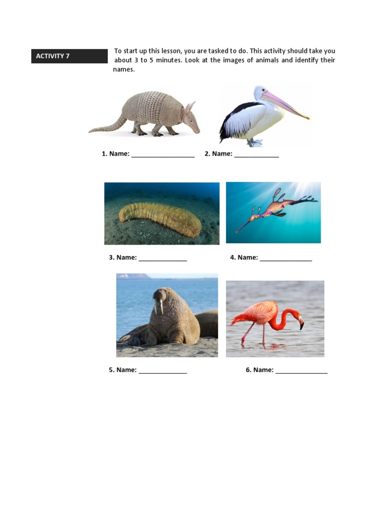 aCTIVITY 7 | PDF