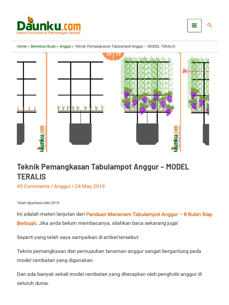 (LENGKAP) Teknik Pemangkasan & Pemupukan Tabulampot Anggur | PDF