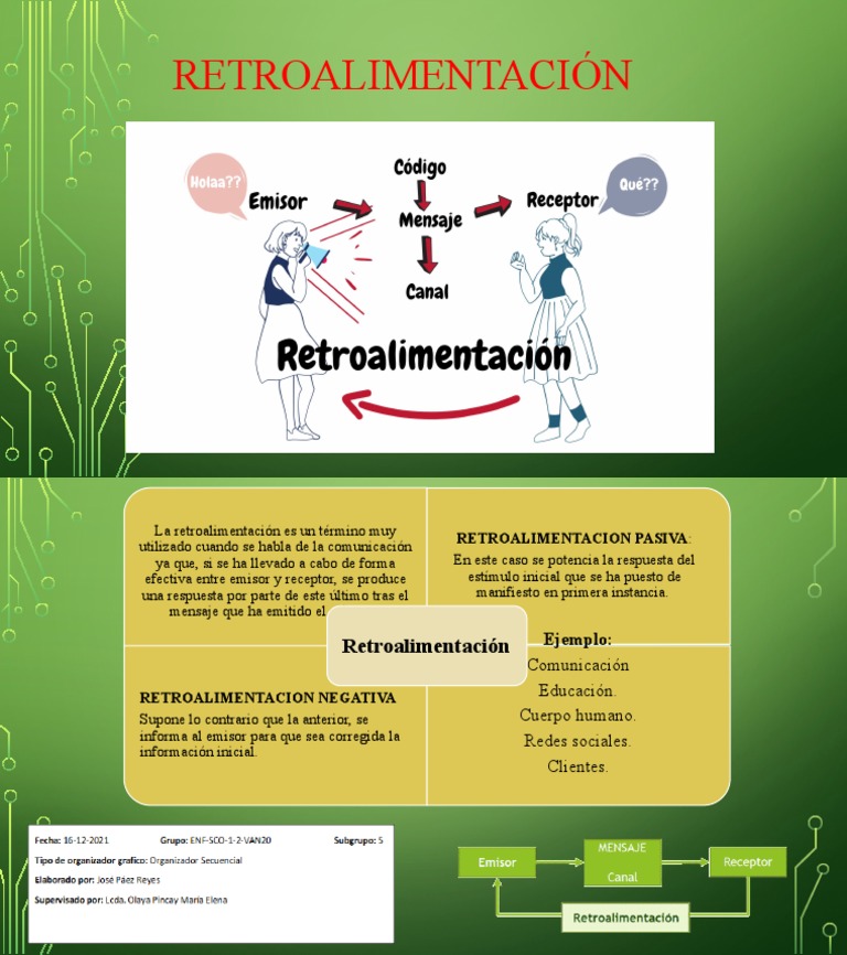 Sistemas de Retroalimentación Efectiva | PDF