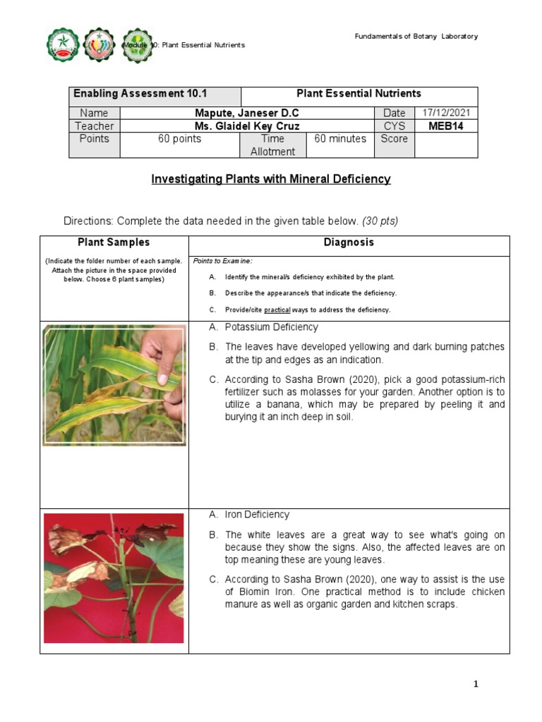 Botany Lab: Plant Nutrient Deficiency | PDF | Plant Nutrition | Botany