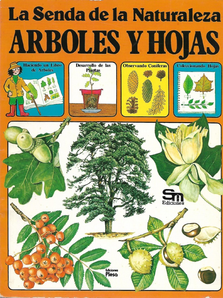 Arboles y Hojas | PDF