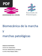Marcha Trendelenburg: Análisis y Alteraciones | PDF | Pelvis | Sistema ...
