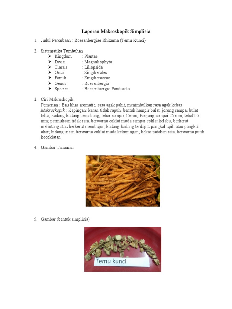 Laporan Simplisia | PDF