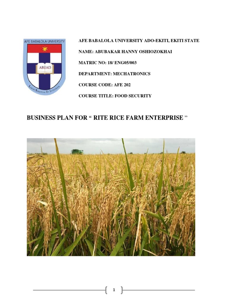 Rice for the Nation: Business Plan for Rite Rice Farm Enterprise | PDF ...