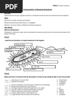 Body Systems Matching Worksheet | PDF | Human Body | Animal Anatomy