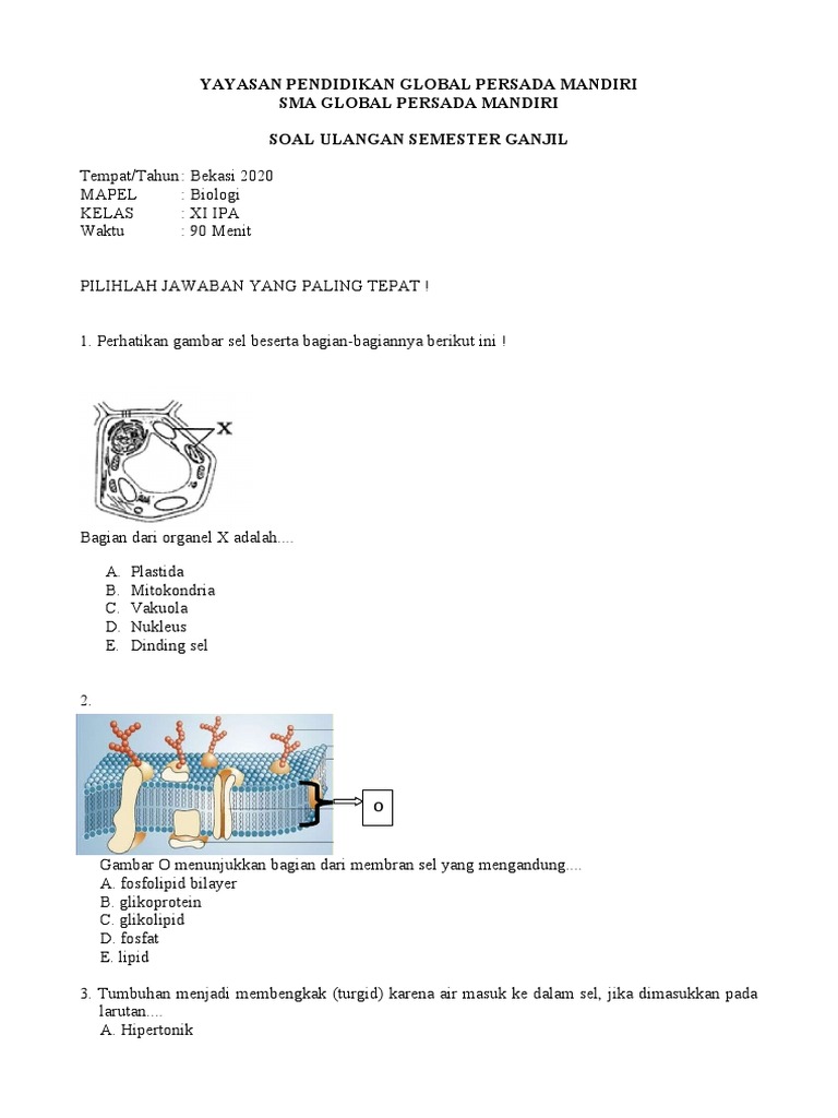Uas Bio Xi 2020 | PDF
