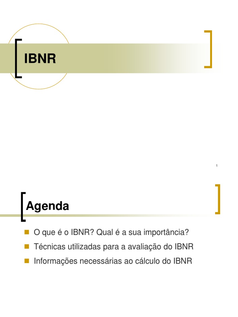IBNR | PDF