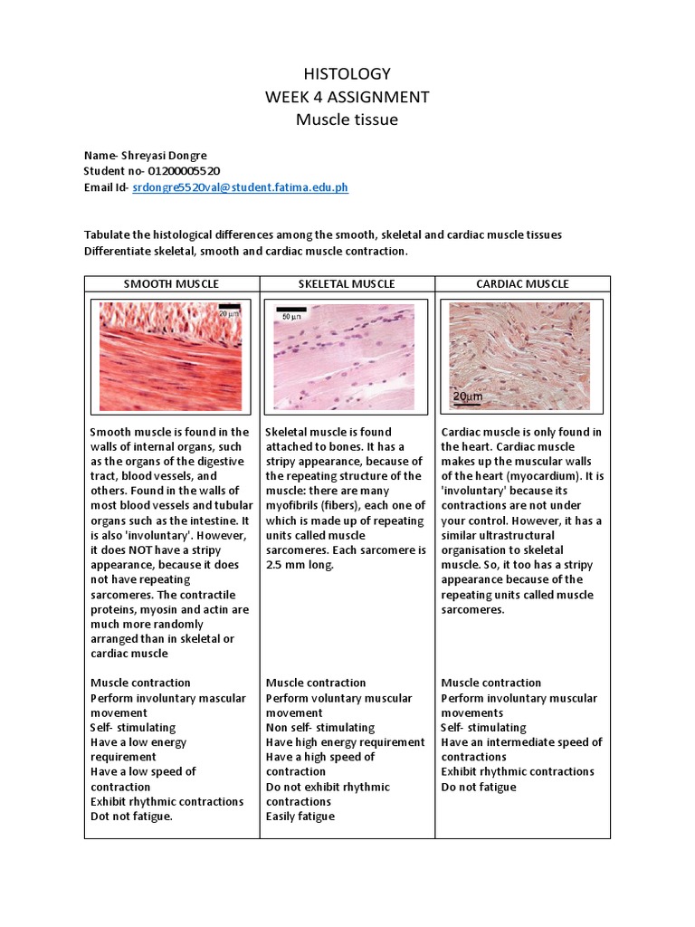 Histology Week 4 Assignment Muscle Tissue: Srdongre5520val@student ...