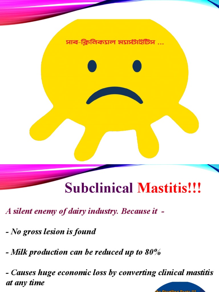 Masti 24 - New | PDF | Milk | Probiotic
