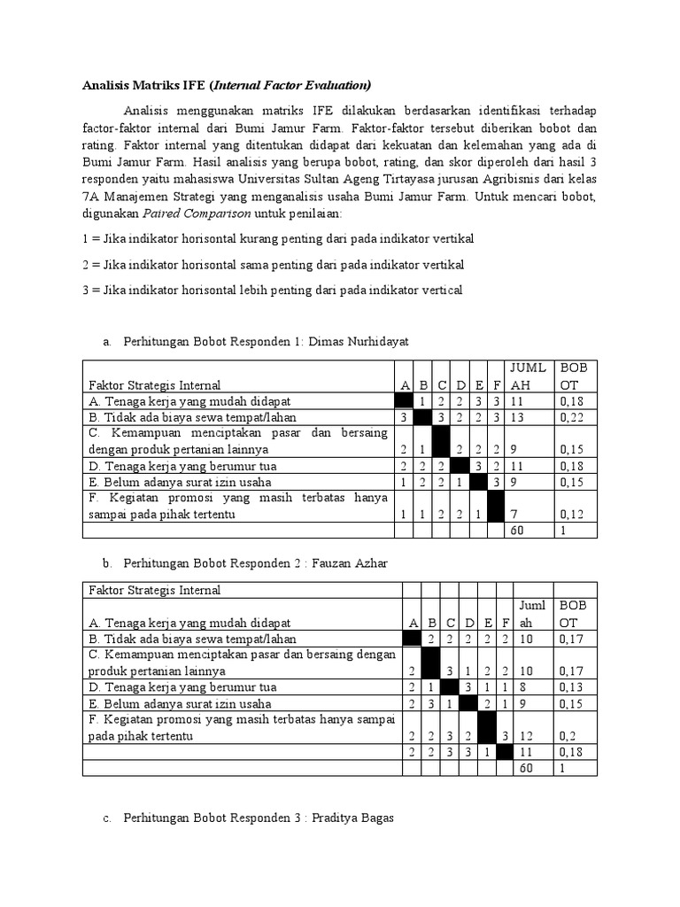 Analisis Matriks IFE | PDF