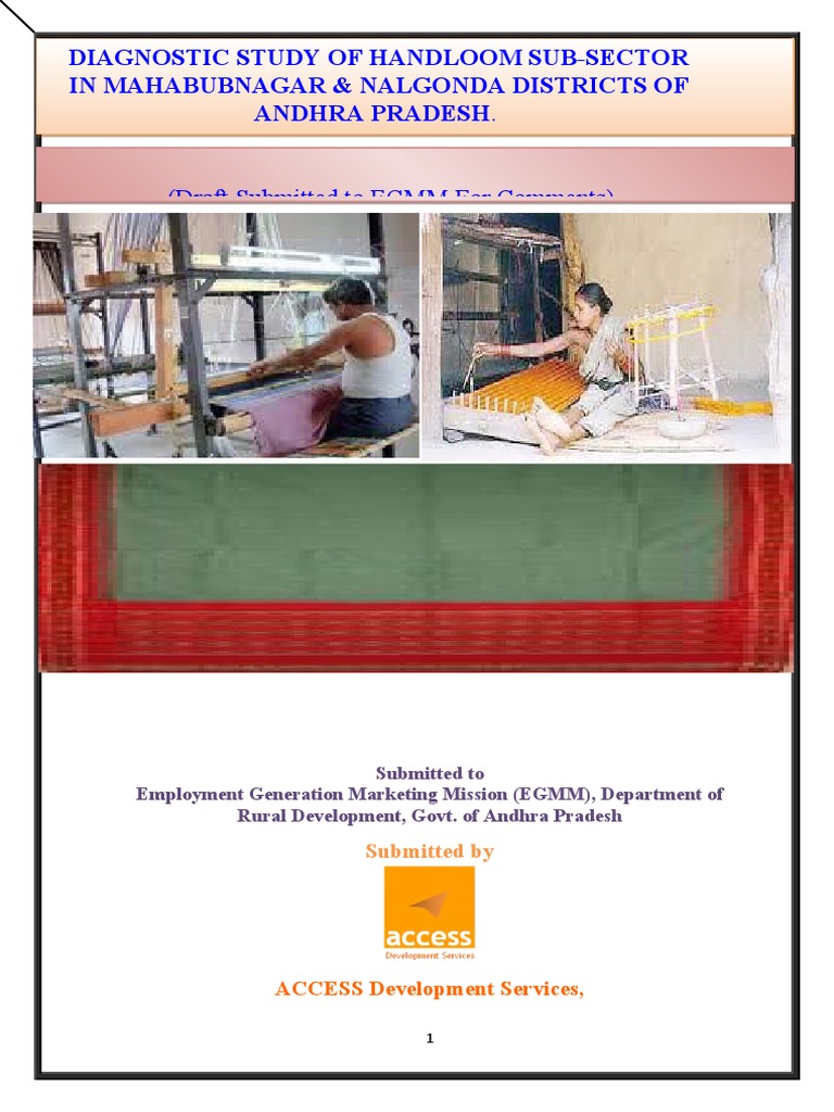Handloom Clusters Diagnostic Study | PDF | Weaving | Loom