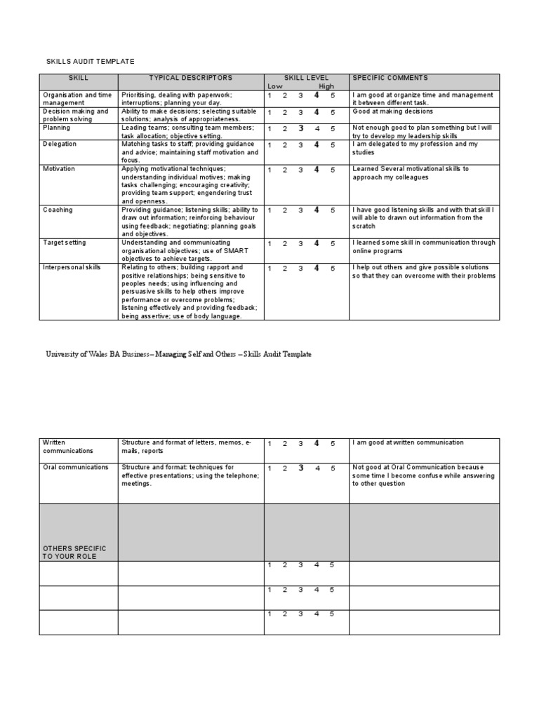 Skills Audit Template for Business BA | PDF | Communication | Motivational