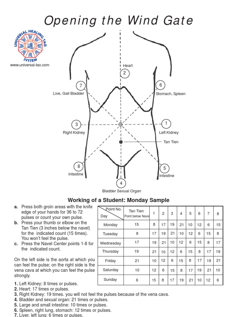Mantak Chia CNT Book_open Wind Gate | Organ (Anatomy) | Animal Physiology