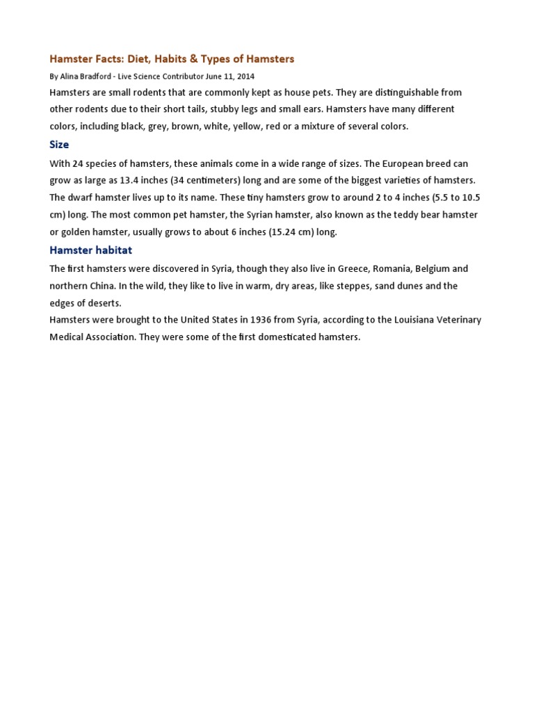 Hamster Facts | PDF