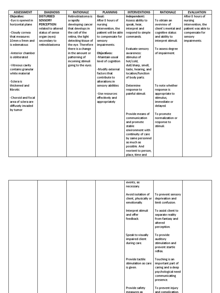 NCP Disturbed Sensory Perception | PDF | Perception | Senses
