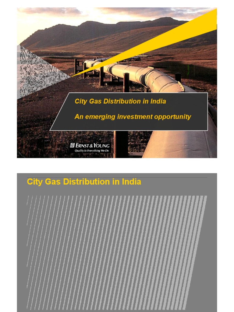 City Distribution | PDF