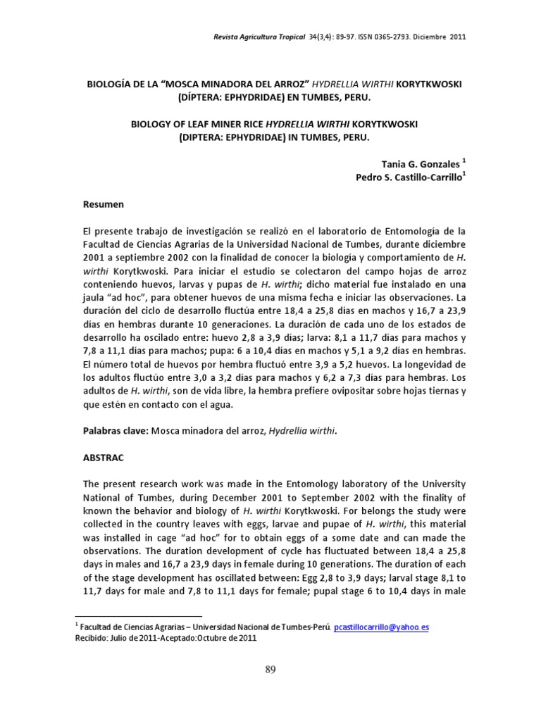 Biología de Hydrellia wirthi en arroz | PDF