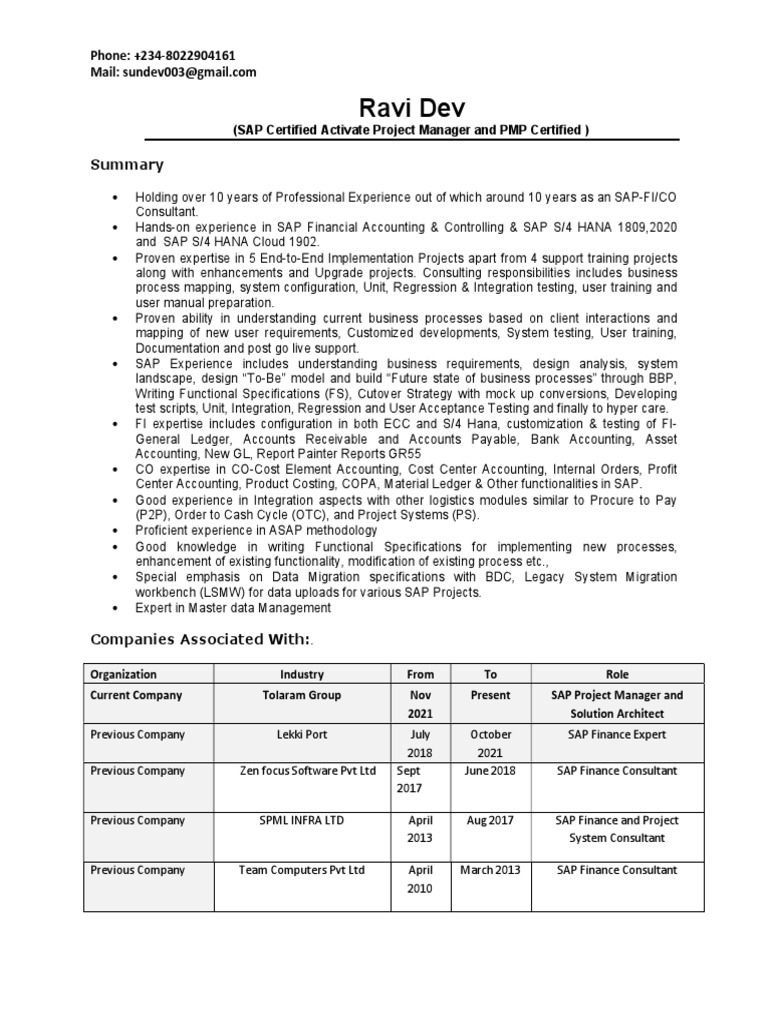 Ravi Dev PDF | PDF | Business Process | Consultant