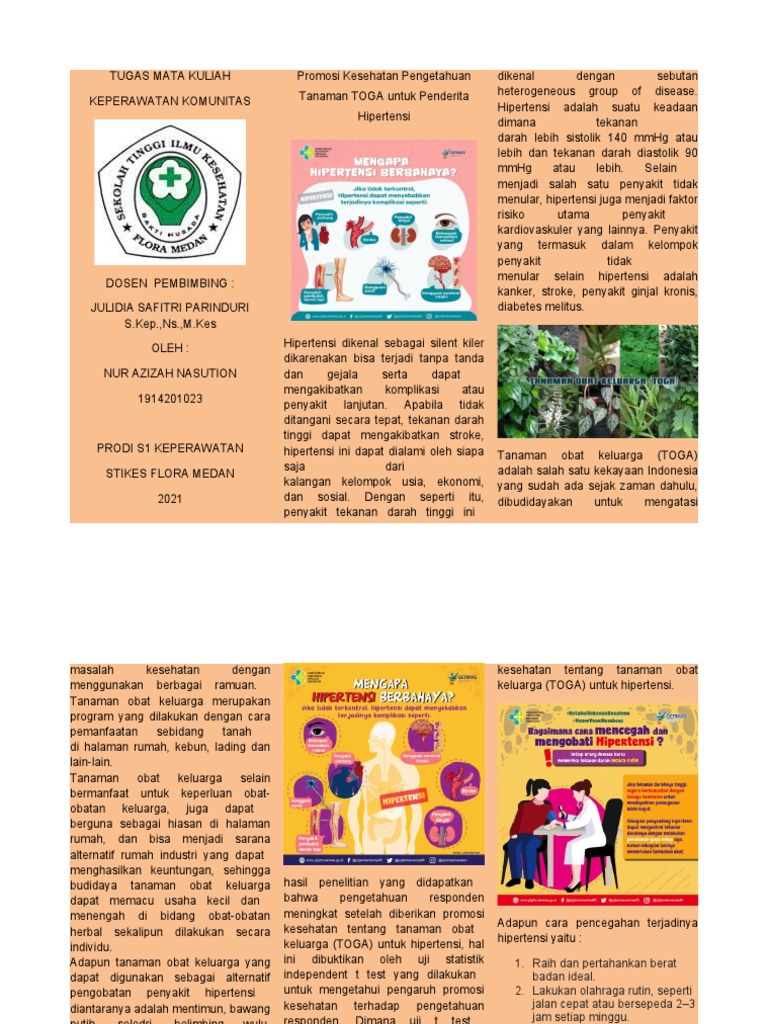 Leaflet Hipertensi Keperawatan Komunitas | PDF