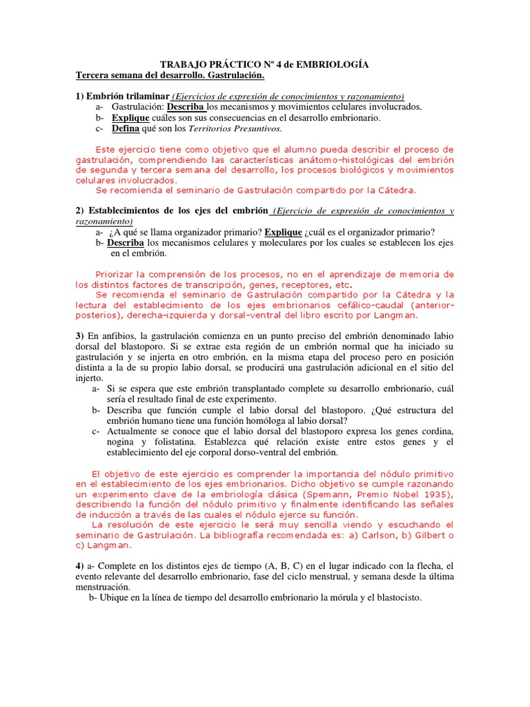 Guía de TP 4 Embrio Gastrulación RESUELTA | PDF | El embarazo | Hormona luteinizante