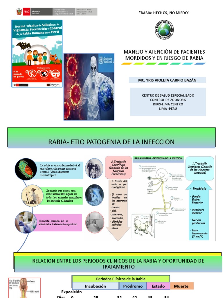 Manejo y Atencion de Pacientes Mordidos y en Riesgo de Rabia MC. Yris ...