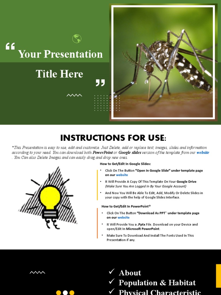 024 Free Mosquito Google Slides Themes | Download Free PDF | Microsoft ...