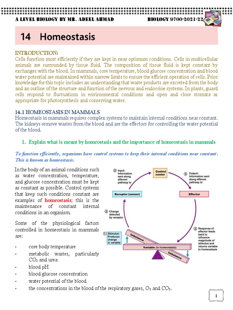 14 Homeostasis 2021-225 A Level Biology 9700 Notes by Mr. ADEEL AHMAD ...