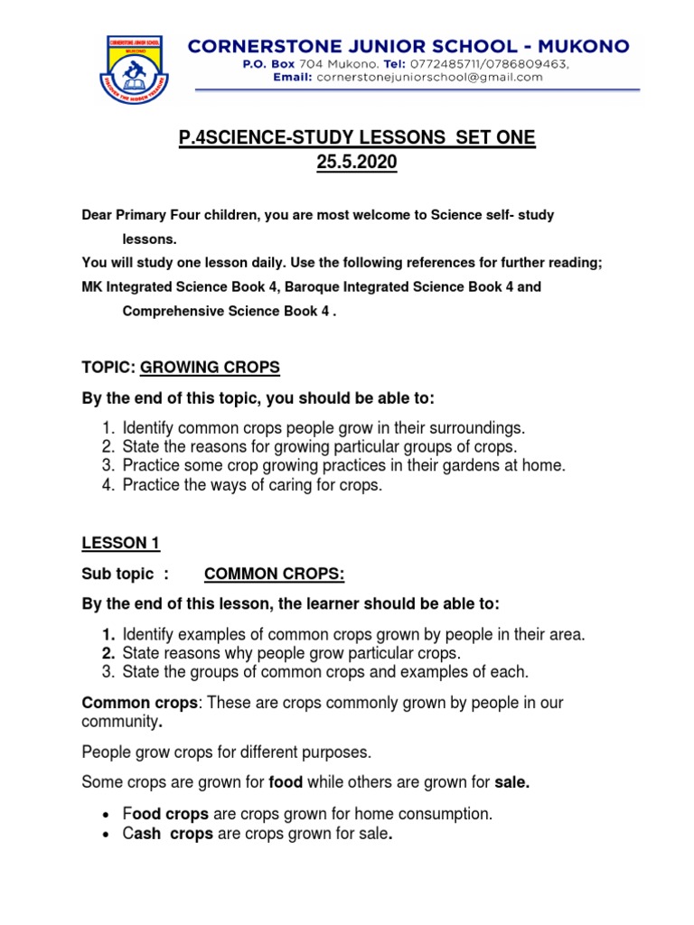 P4 Science Self Study Lesson Set One Cornerstone Junior School Mukono ...