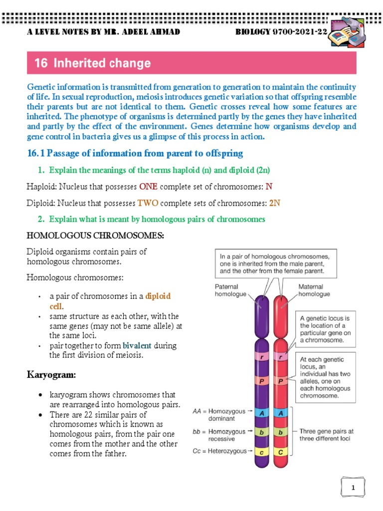 Topic 16 Inherited Change 2021-22 A Level Biology 9700 Notes by Mr ...