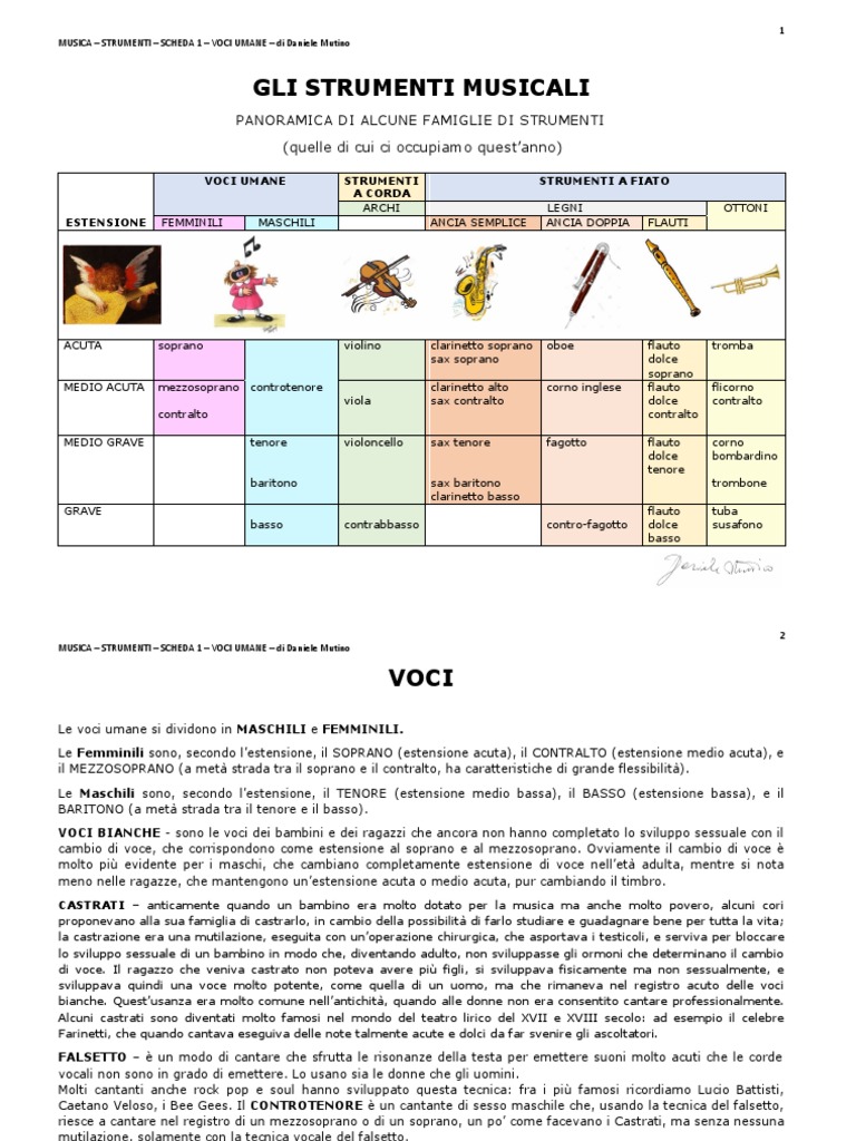 MUSICA - Classificazione Strumenti 1 - VOCI | PDF