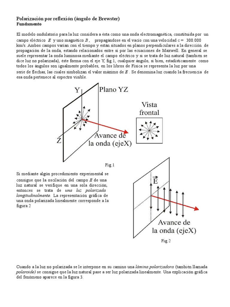 Polarizacion Por Reflexion Angulo de Brewster | PDF | Polarización (ondas) | Ligero