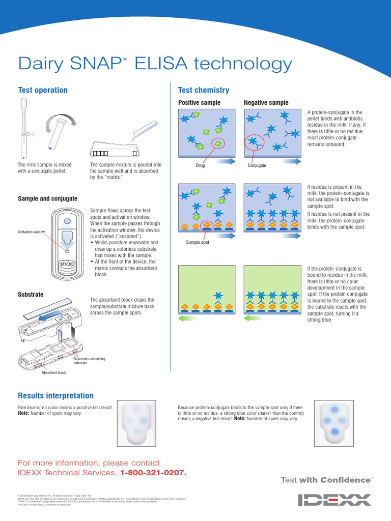 Dairy SNAP ELISA Technology: Test Operation Test Chemistry | PDF ...