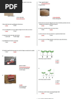 Ujian Building Cleaning Service SSW | PDF