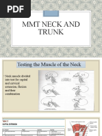 Shoulder Flexion MMT Guide | PDF