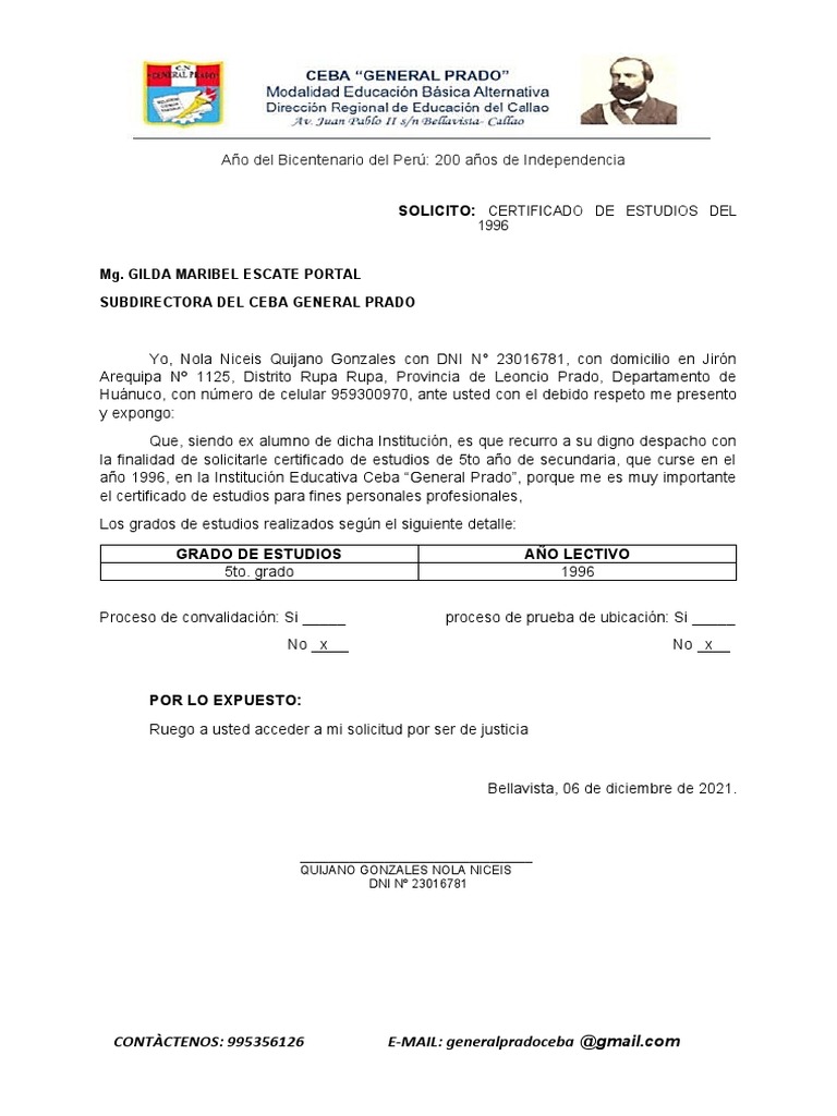 Modelo de Solicitud | PDF