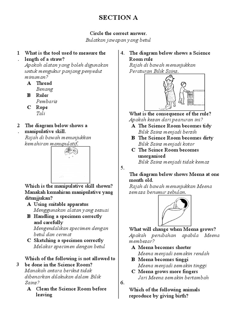 Science Year 2 | PDF