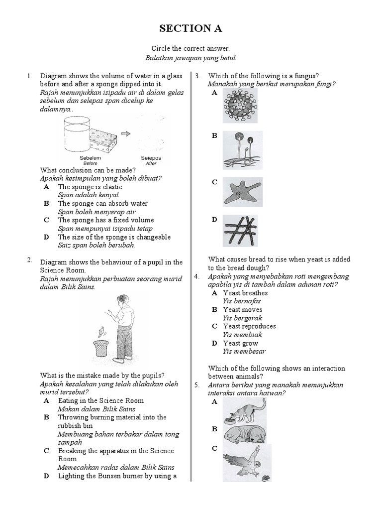 Science Year 6 | PDF