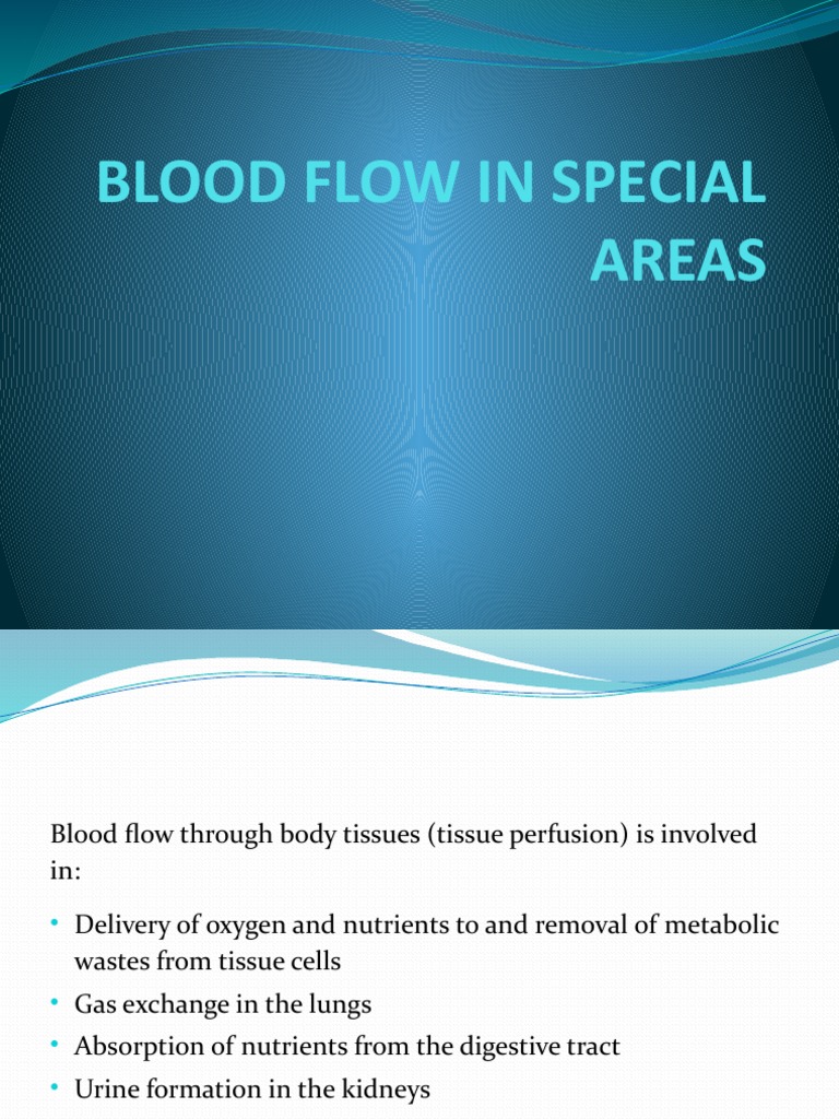 Blood Flow in Special Areas | PDF | Coronary Circulation | Circulatory ...