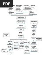 RESUSITASI NEONATUS MATERI/woc Asfiksia | PDF
