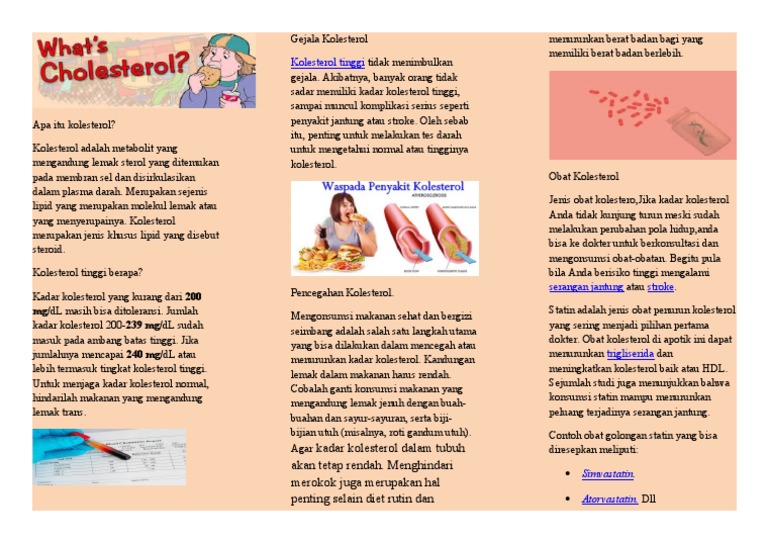 Brosur Kolesterol | PDF