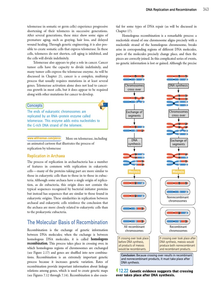 Genetics A Conceptual Approach - Pierce, B. A (PDF - Io) | PDF | Dna ...