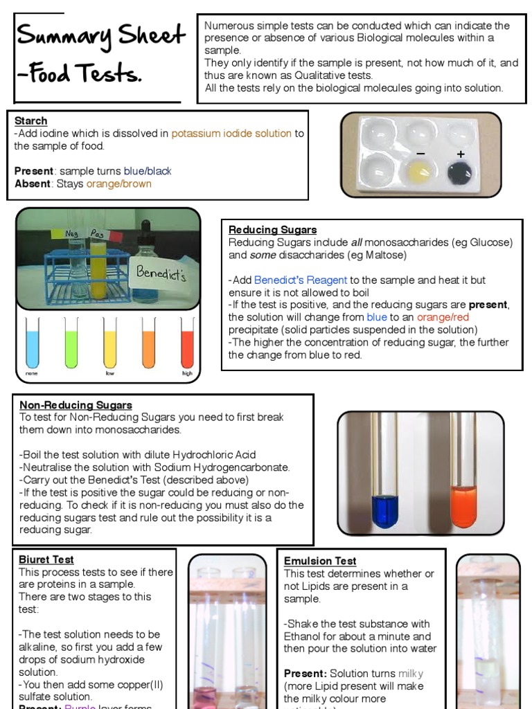 Summary Sheet - Food Tests | PDF | Sugar | Diet & Nutrition
